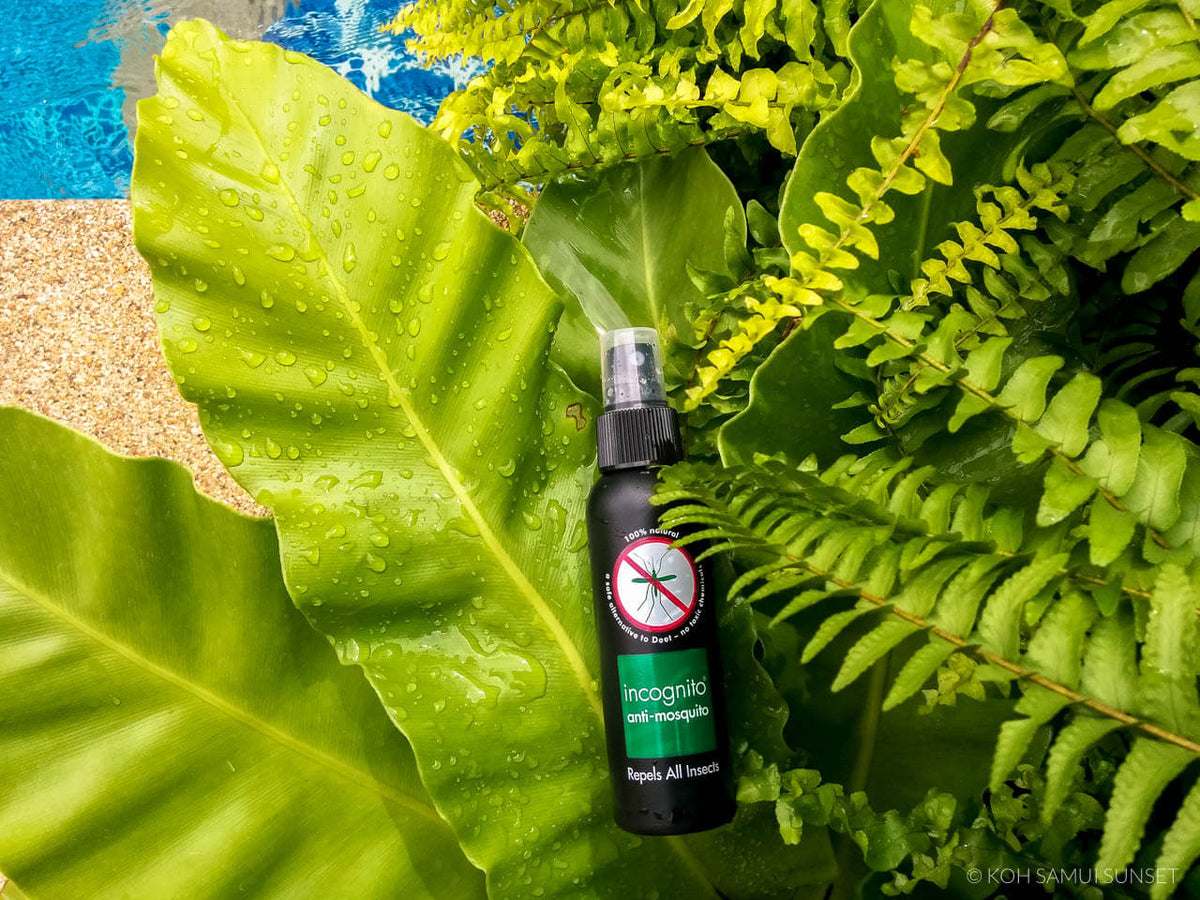 Natural & Effective Insect Repellent | incognito® | Eco-Friendly ...